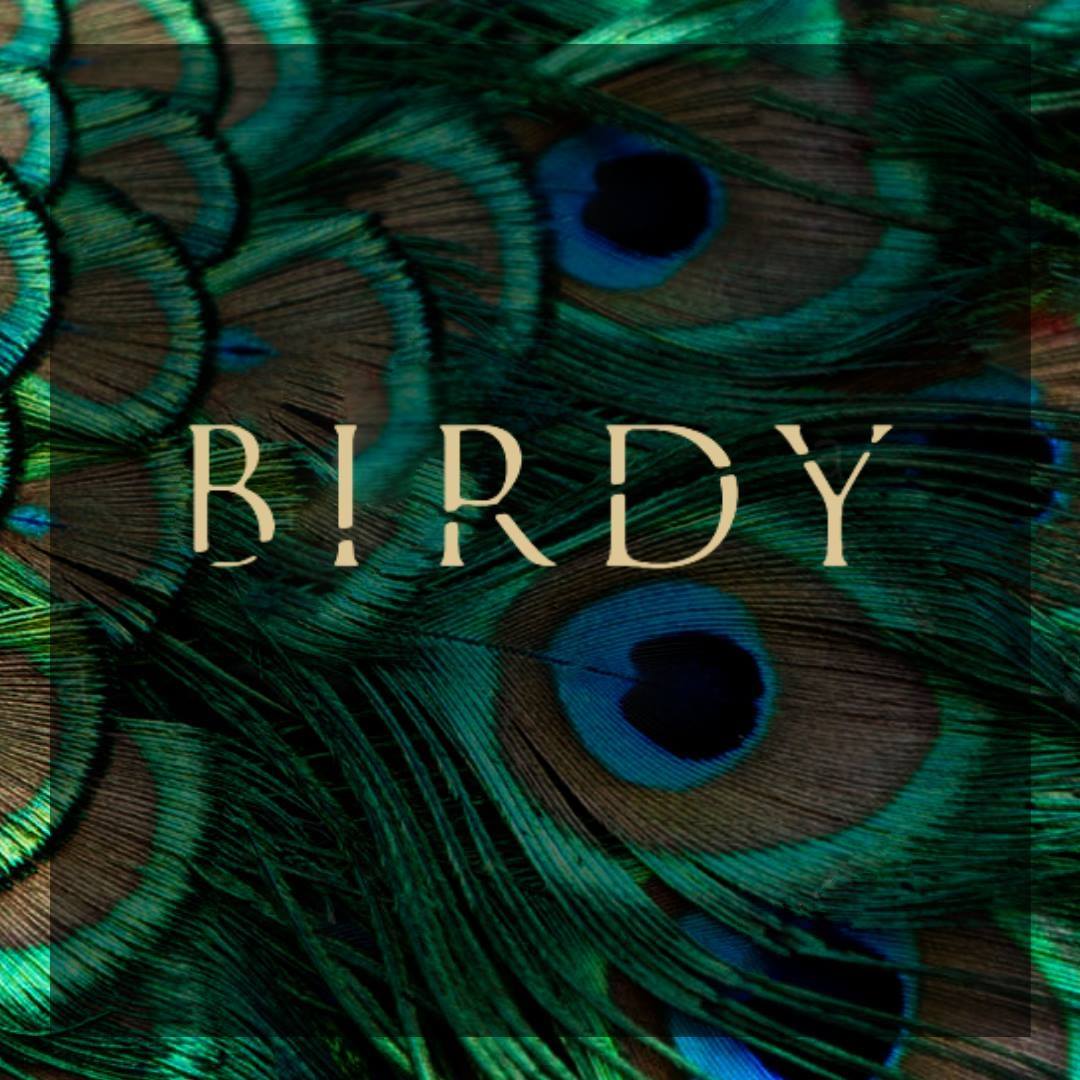 Birdy Bar Lounge Brussels | Cocktail Bar Bruxelles Louise | Pre-Party ...